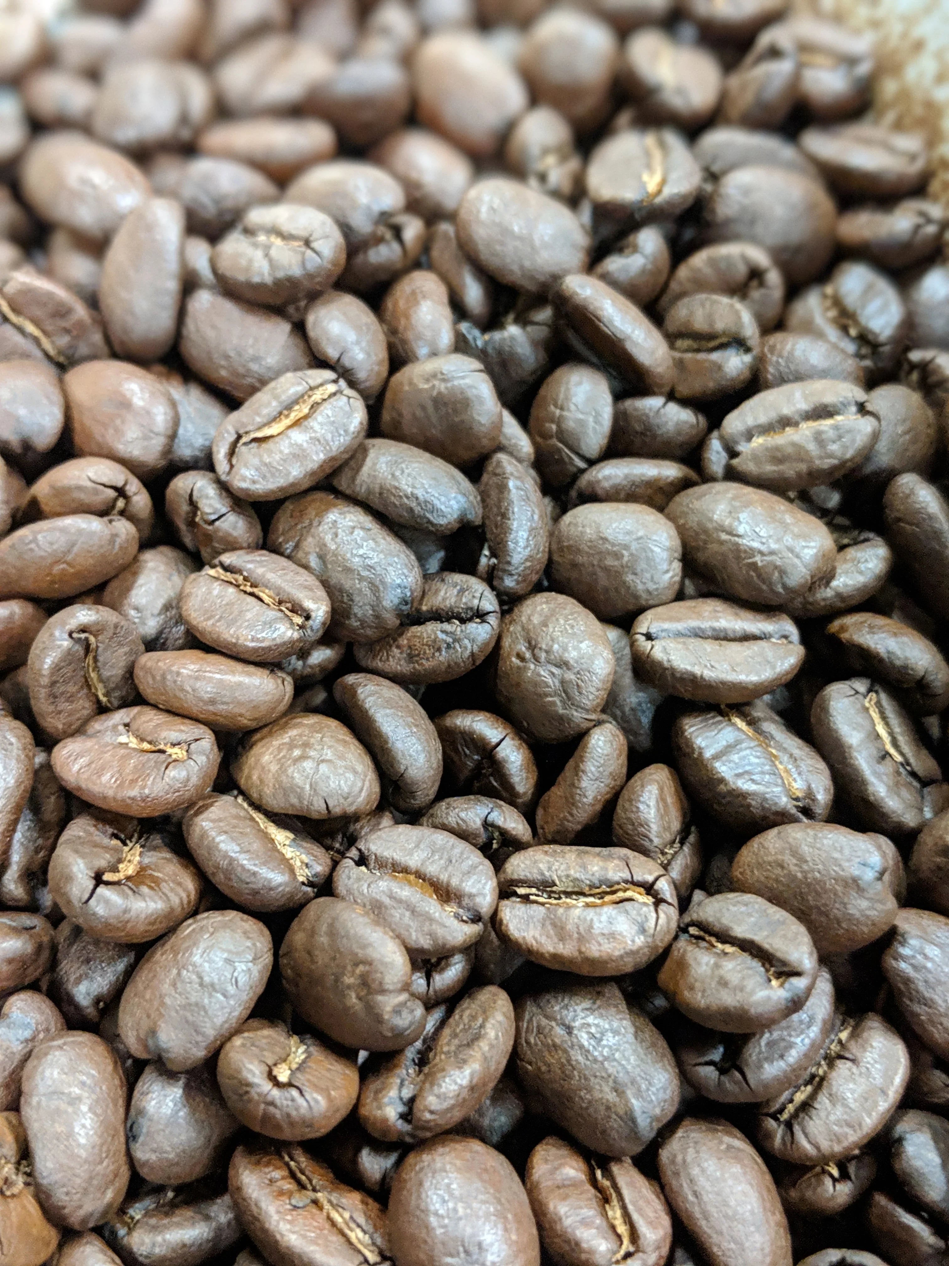 Espresso Coffee – Gold Star Coffee Canada